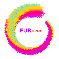 FURever – Revolutionizing the pet adoption process